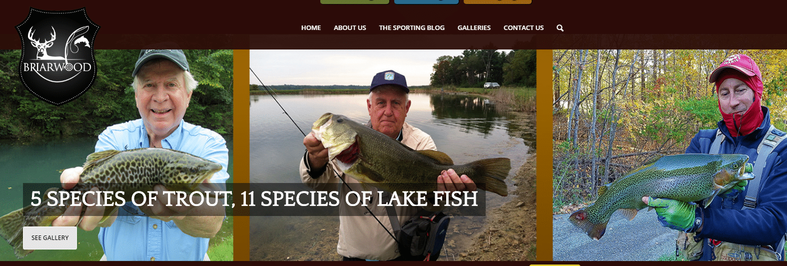 The Top 10 Fish Species to Target in Ohio | Briarwood Sporting Club